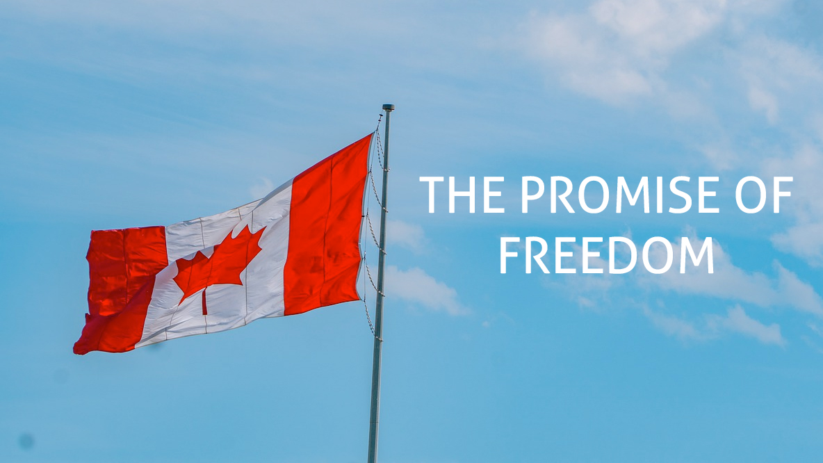 2021 Essay Contest - The Promise Of Freedom | Justice Centre for ...